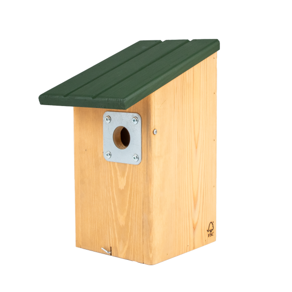 Home [www.cjwildlifetrade.com]